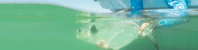 Inside Costa | Costa Del Mar US